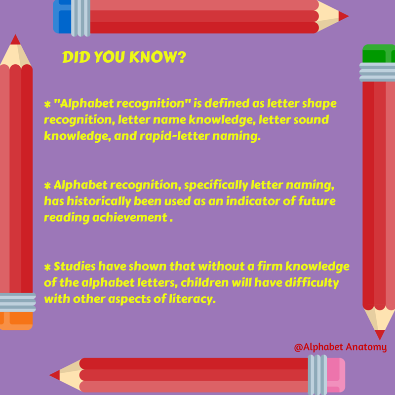 Defining Alphabet Anatomy - Alphabet Anatomy